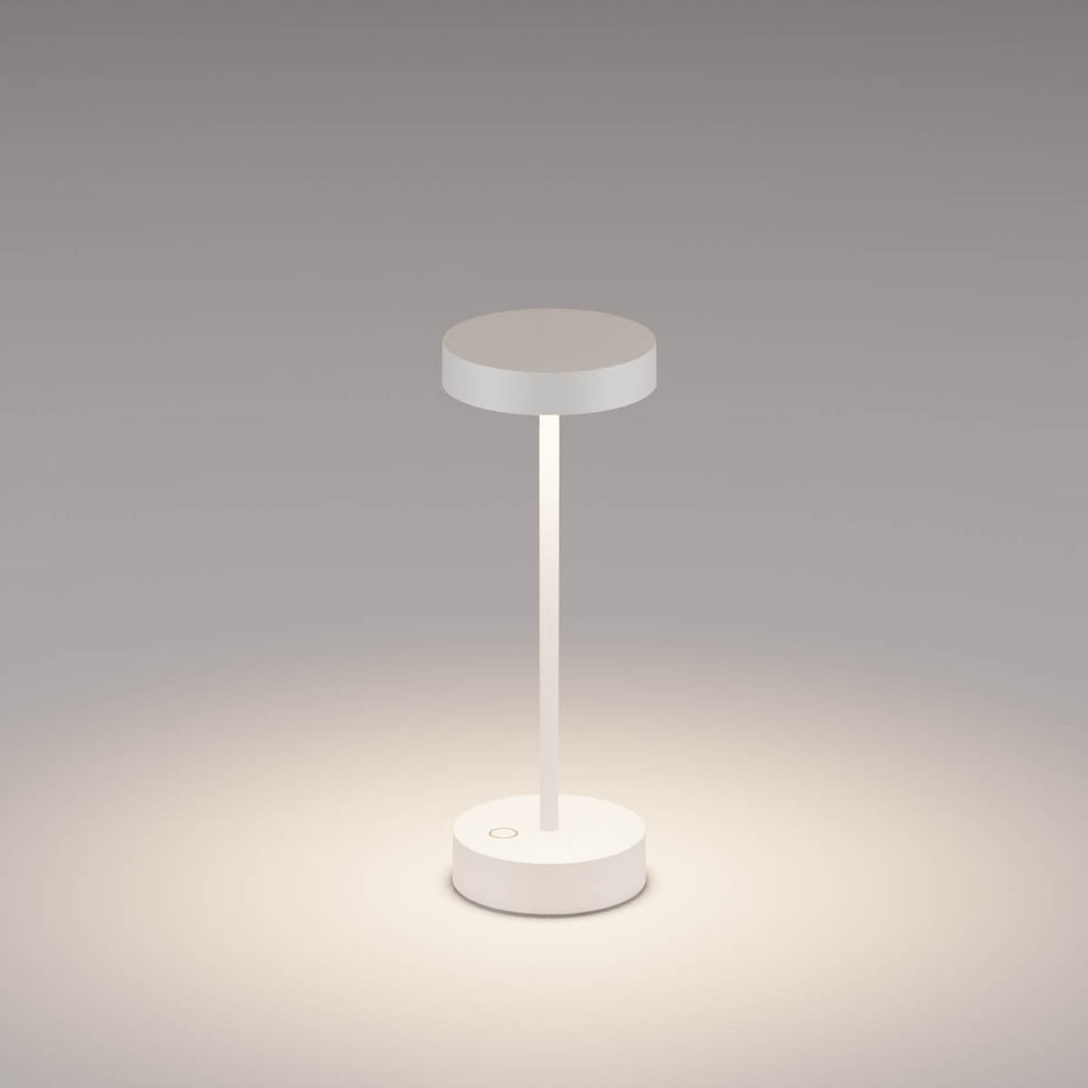 Buy Standy Mini Cordless Minimalist Lamp – UBIQUA Lighting